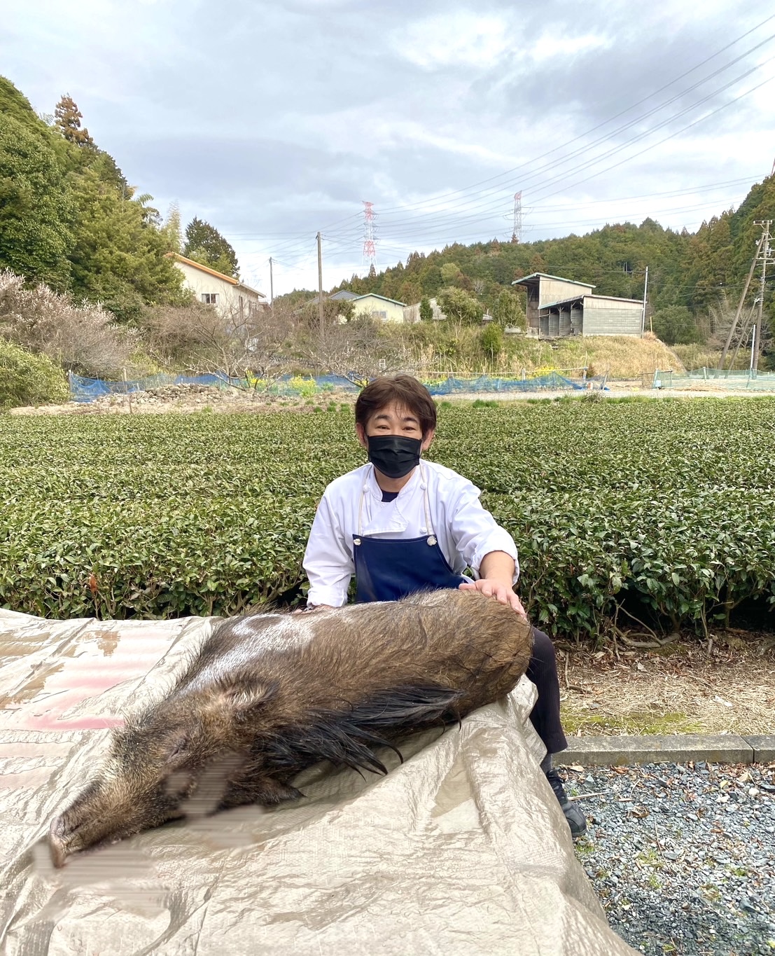 今期最高の猪 | 西欧料理サヴァカ｜静岡県菊川市のフレンチレストラン