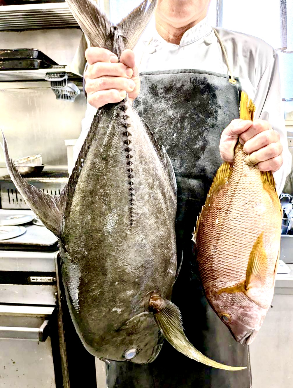 御前崎の定置網 | 西欧料理サヴァカ｜静岡県菊川市のフレンチレストラン