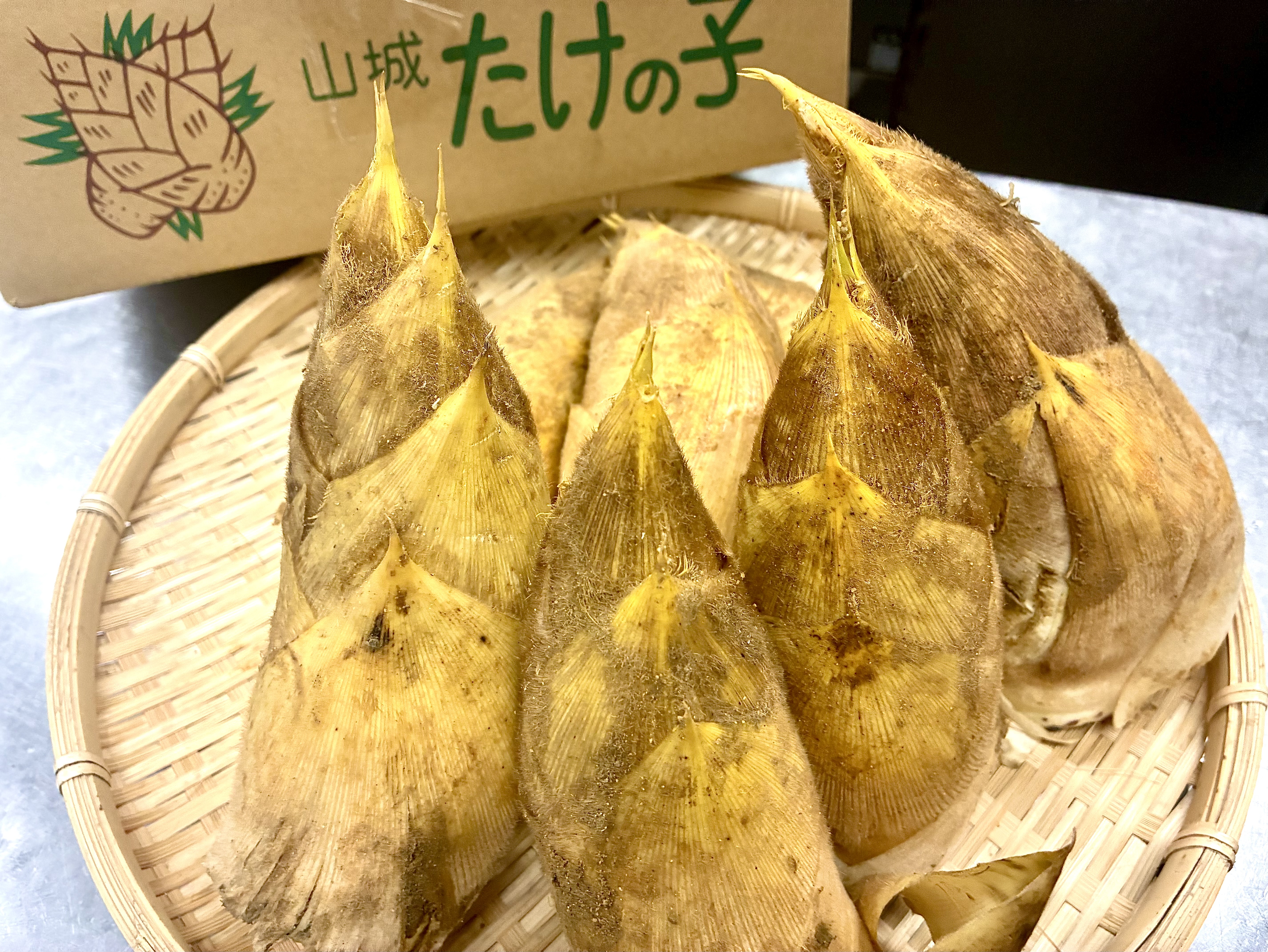 裏年の筍 | 西欧料理サヴァカ｜静岡県菊川市のフレンチレストラン