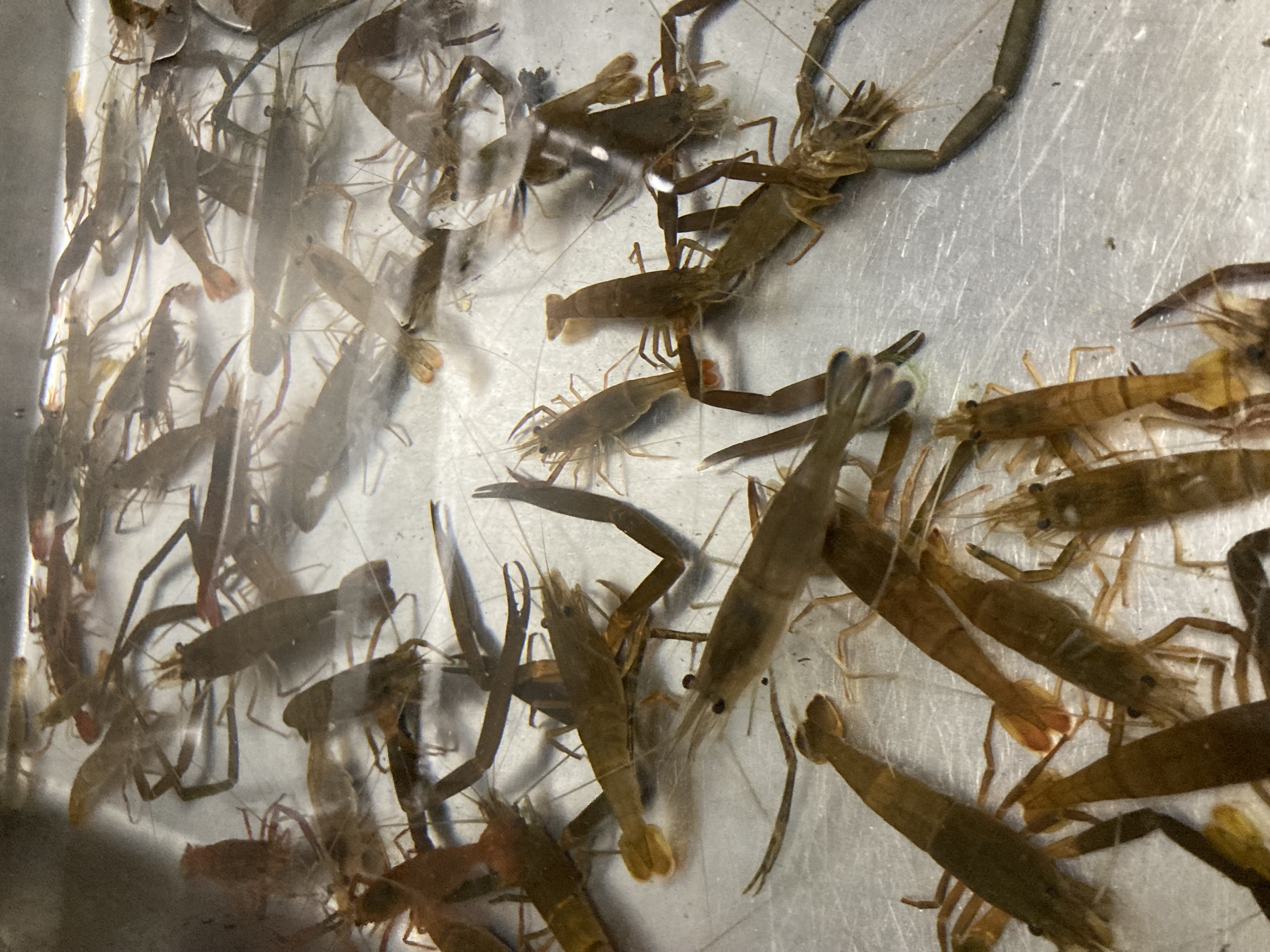 キャンセル料に関して | 西欧料理サヴァカ｜静岡県菊川市のフレンチレストラン