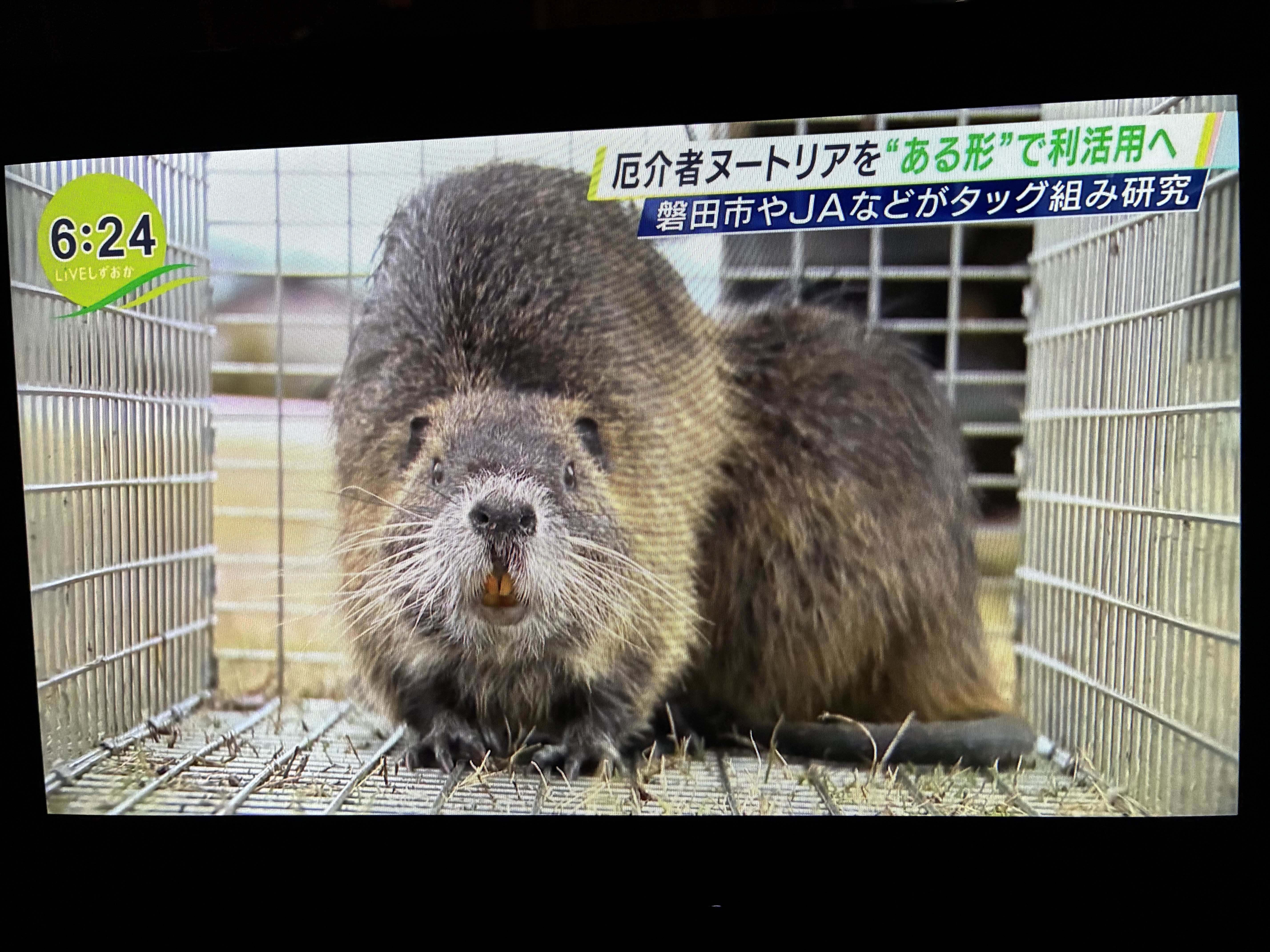 グッドモーニング | 西欧料理サヴァカ｜静岡県菊川市のフレンチレストラン